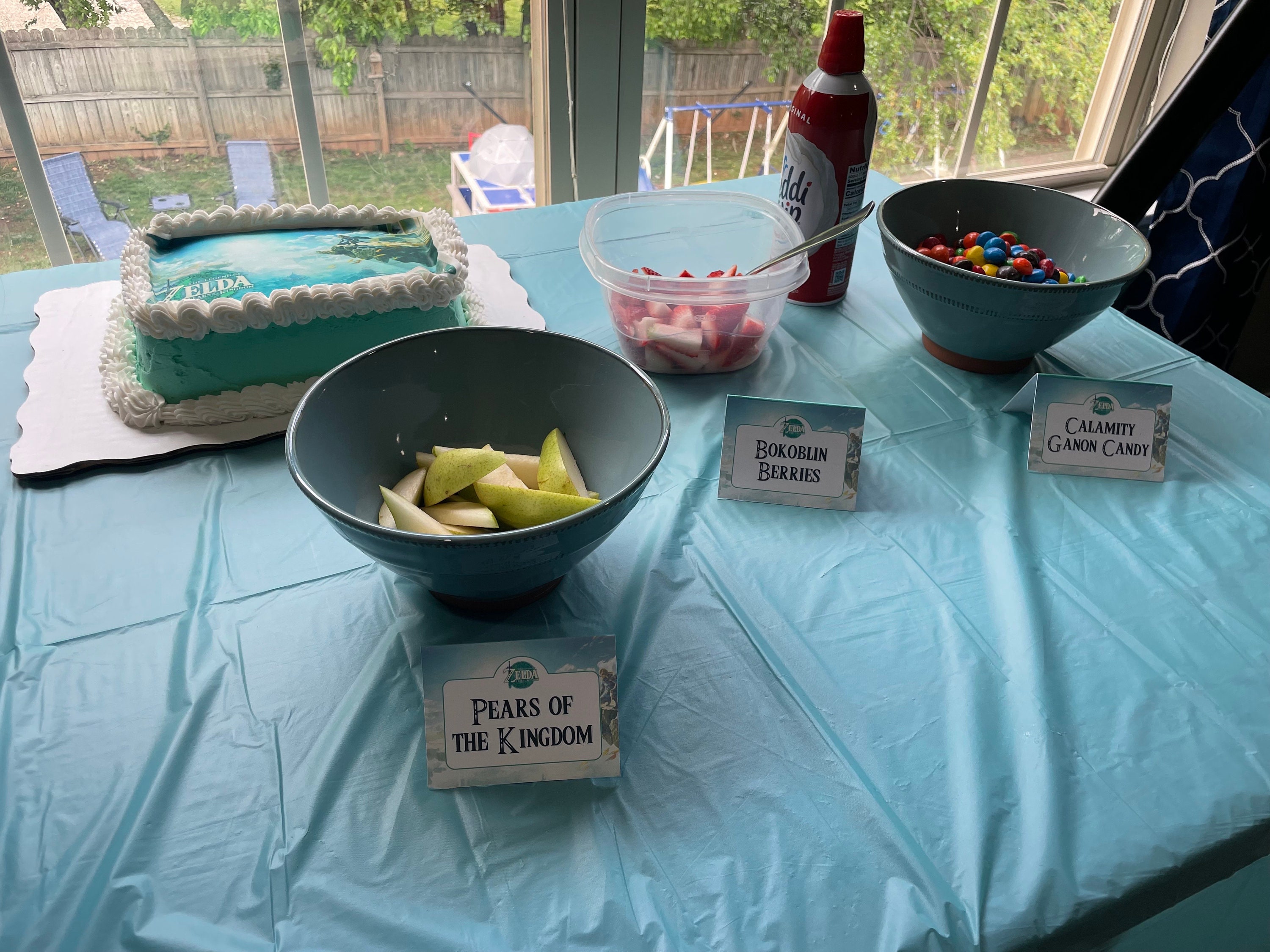 Zelda Birthday Party