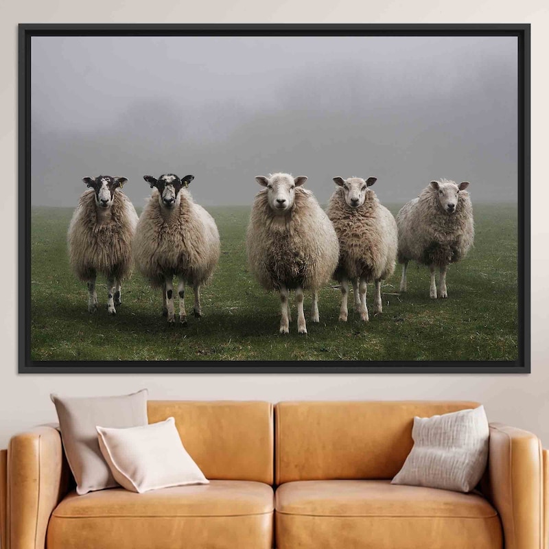 Sheep Photo - Etsy
