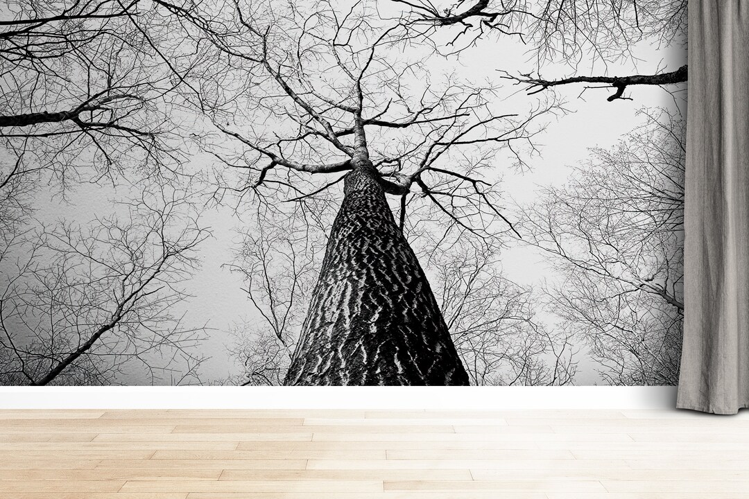 Peel and Stick Wallpaper, 3D Papercraft, Modern Wall Decal, Gift for ...