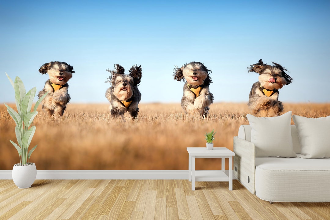 Personalized Running Dogs Wallpaper: Peel and Stick 3D Wall Decals - Etsy