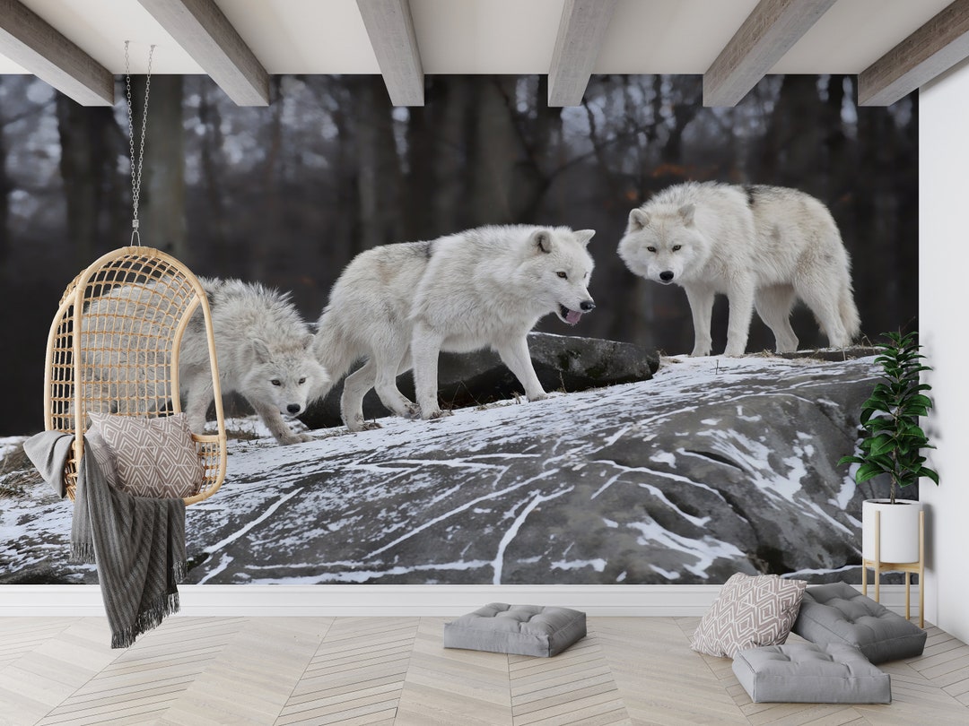 Three Wolfs Peel and Stick Wallpaper Mural: Arctic Wolves Wall Art - Etsy