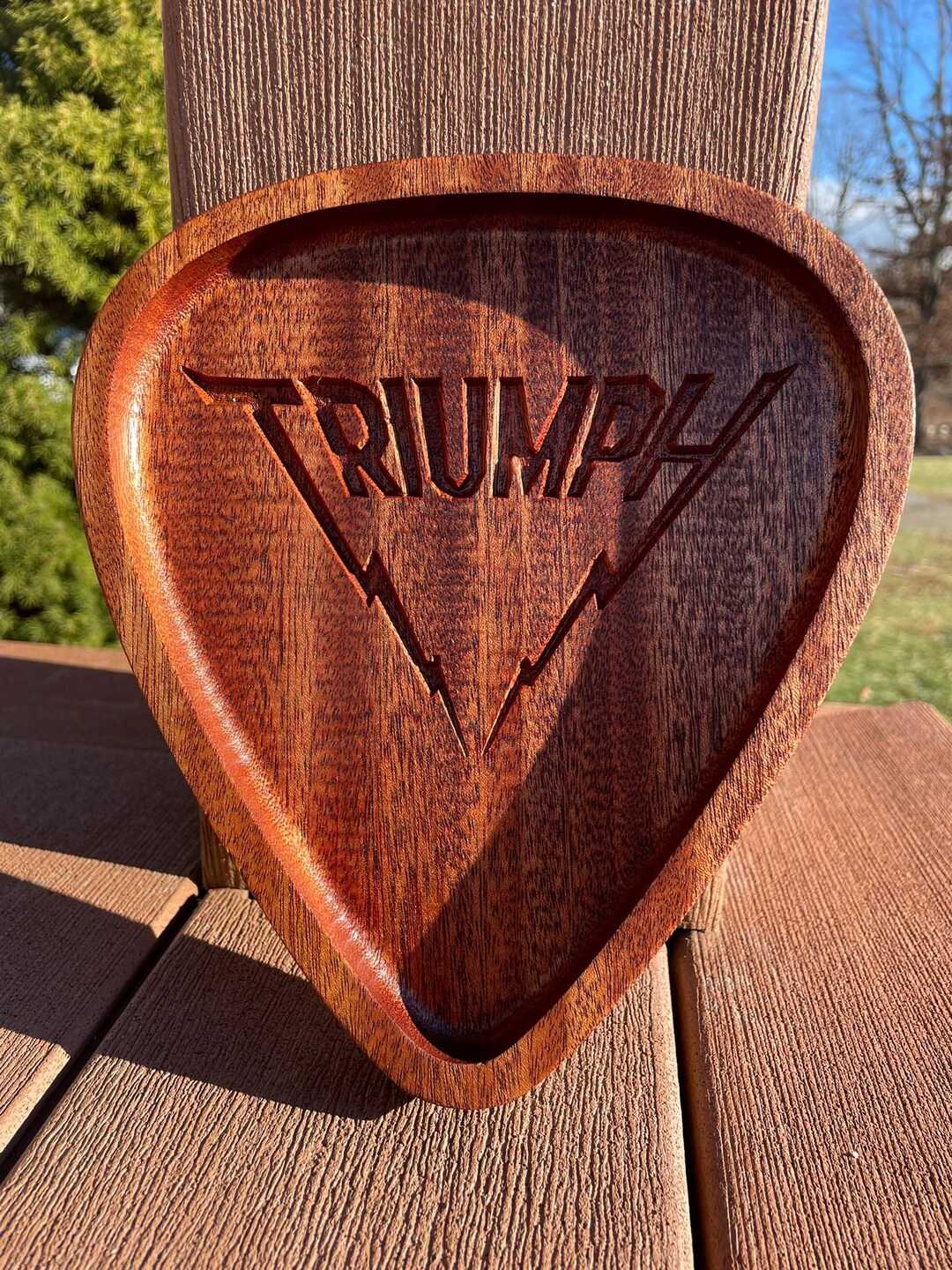 Triumph Guitar Pick Catchall Tray - Etsy