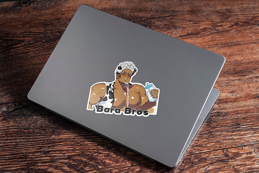 Bara Bros Stickers Bara Art Laptop & Car Decals - Etsy