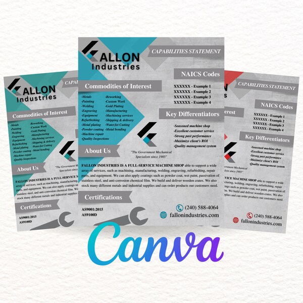 Capabilities Statement Template Canva - Etsy