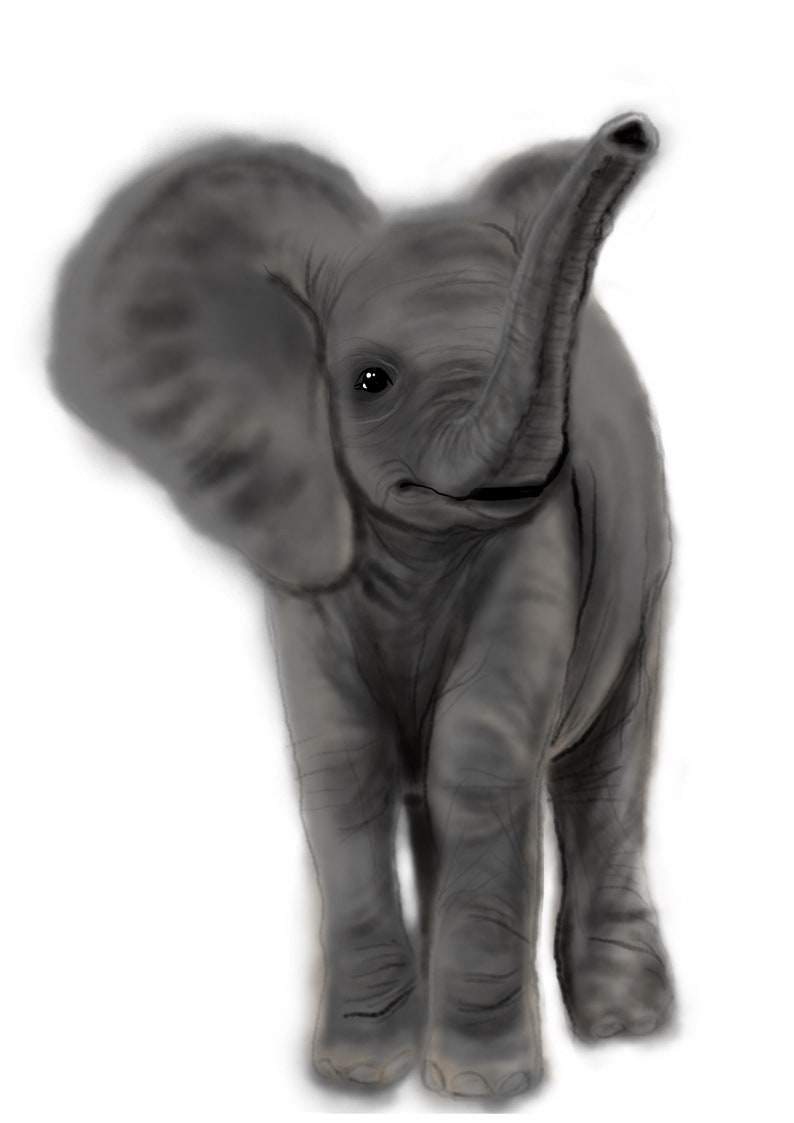 PRINTABLE Baby Elephant Prints Nursery Wall Art Decor Safari - Etsy