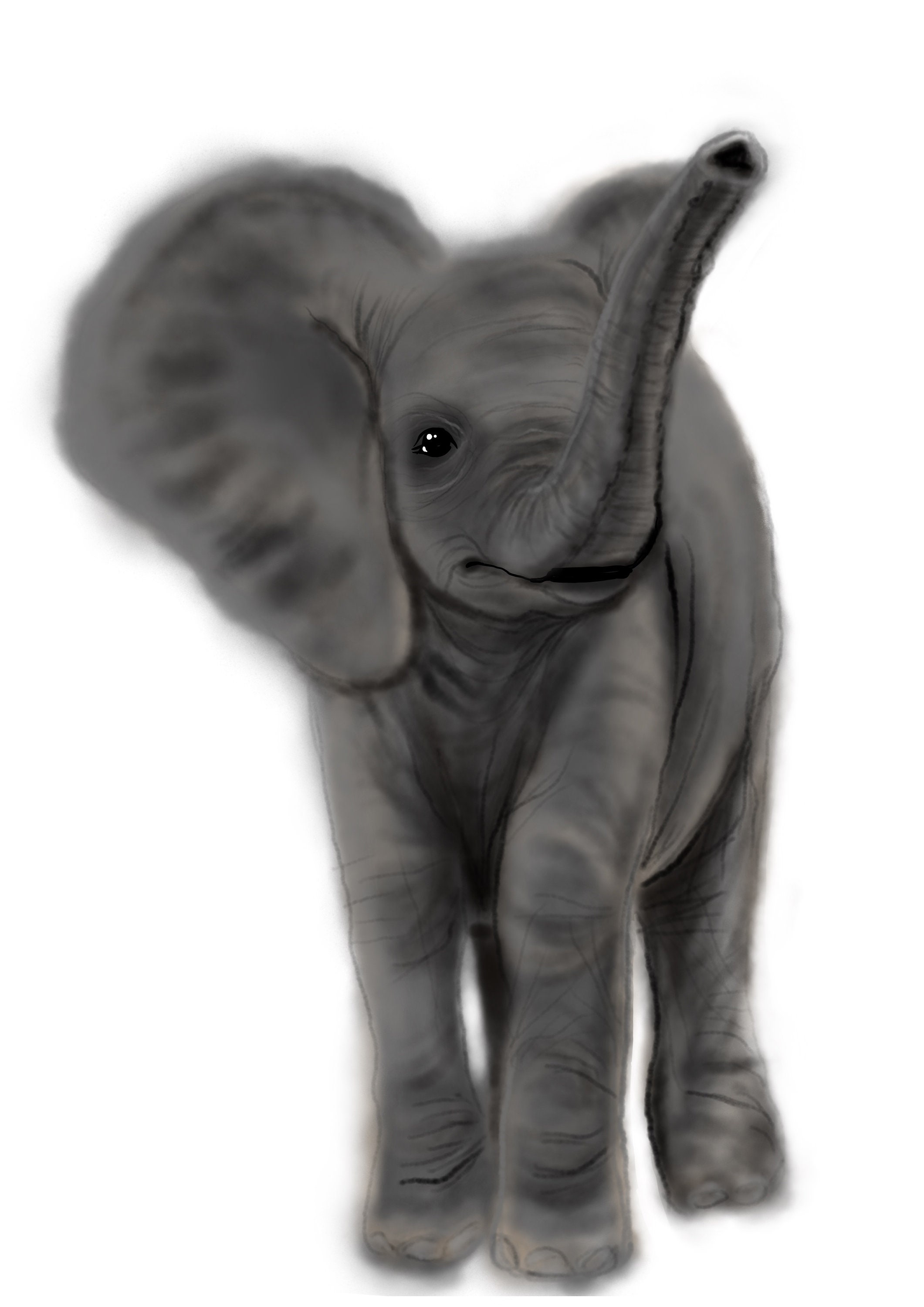 PRINTABLE Baby Elephant Prints Nursery Wall Art Decor Safari Nursery ...