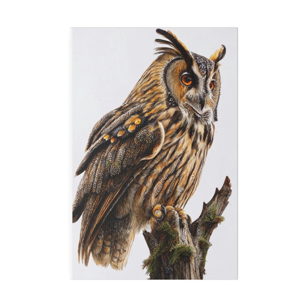 Owl on a Limb - Etsy