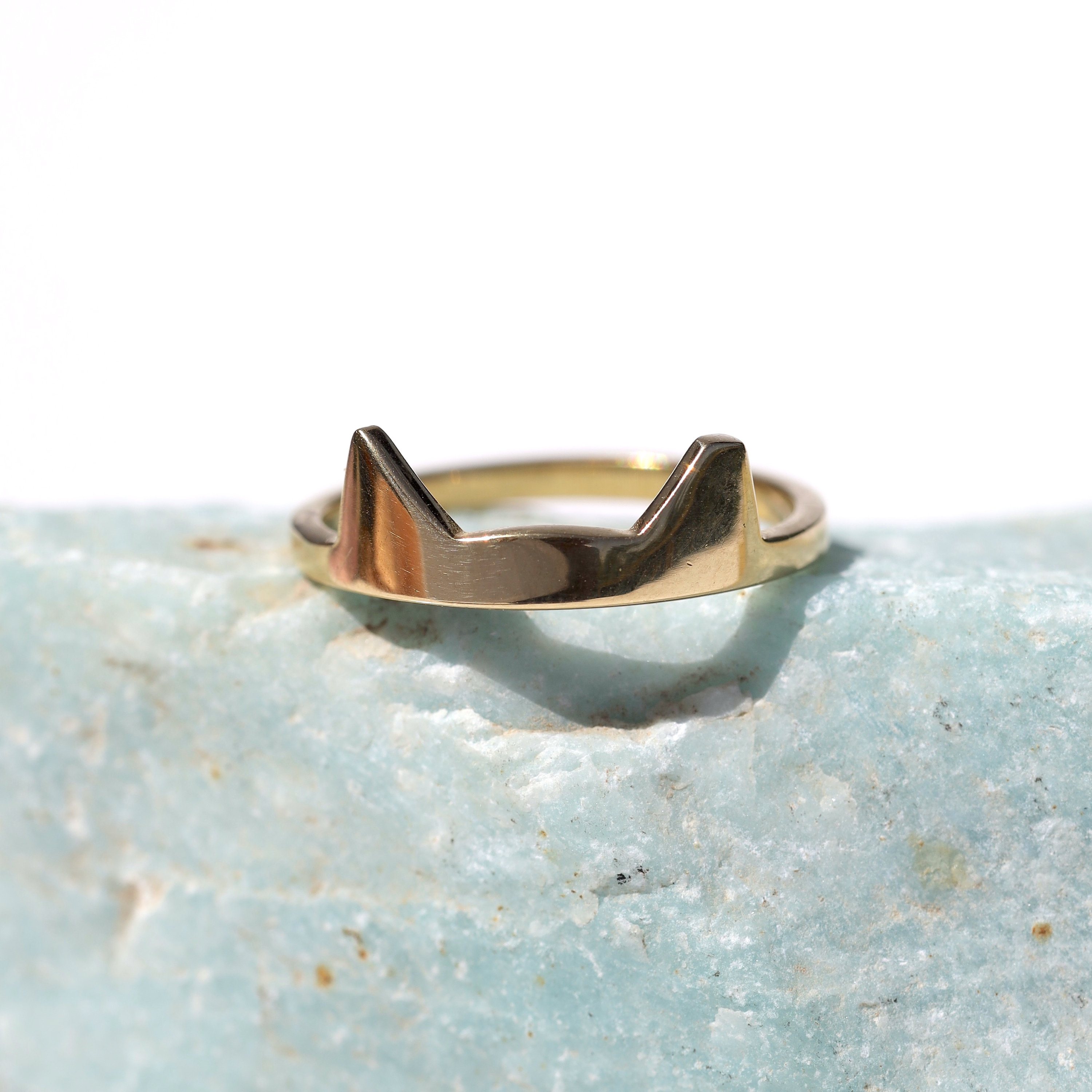 The TNR Ear Tipped Cat Rescue Ring for the Cat Lover Jewelry - Etsy