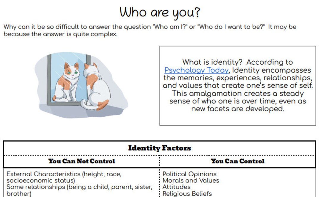 Who Are You A Lesson on Identity for High School Students PDF SEL ...
