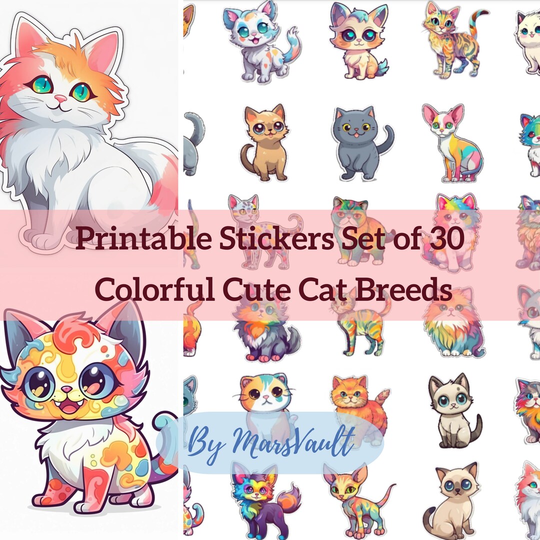 Instant Download Digital Printable Stickers Bundle of 30 Colorful Cute ...