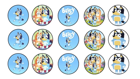 Pre Cut Bluey Edible Image/ Bluey Bingo Edible Cake Topper