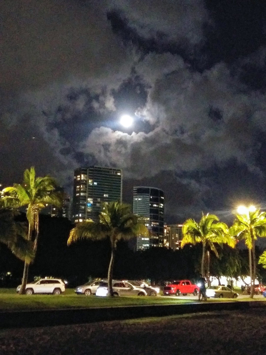 Ala Moana Moon Light - Etsy