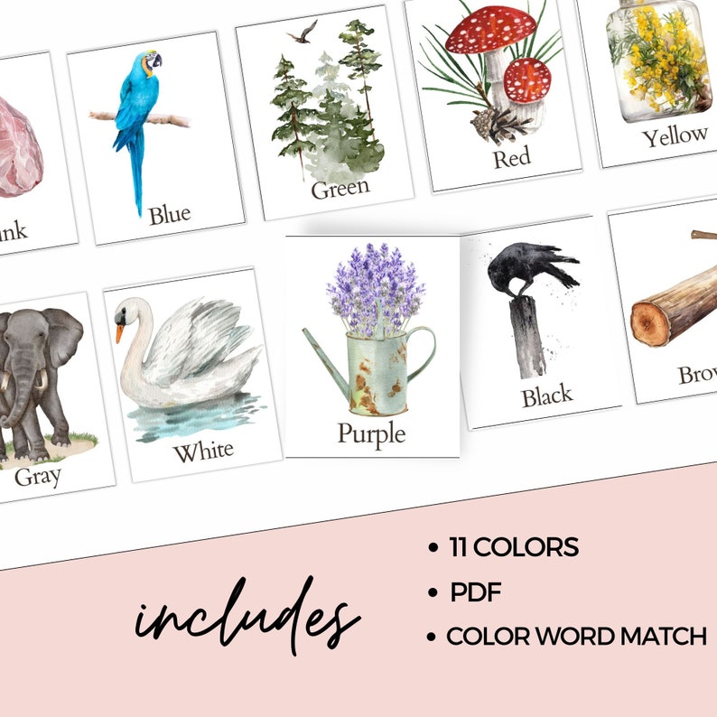 Nature Color Flash Cards - Etsy