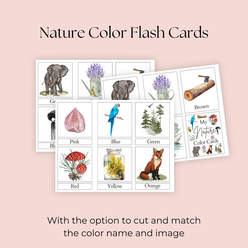 Nature Color Flash Cards - Etsy