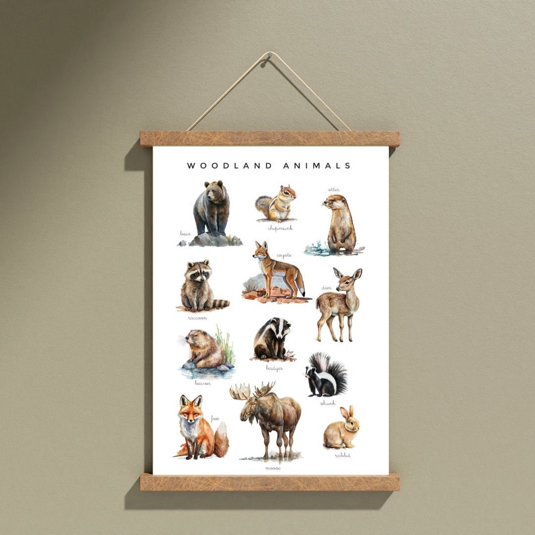 Printable Animal Educational Posters, Montessori Animal Posters ...