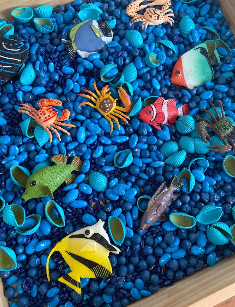 Ocean Creature Sensory Bin Kit Tropical Fish Sensory Bin Sensory Play ...