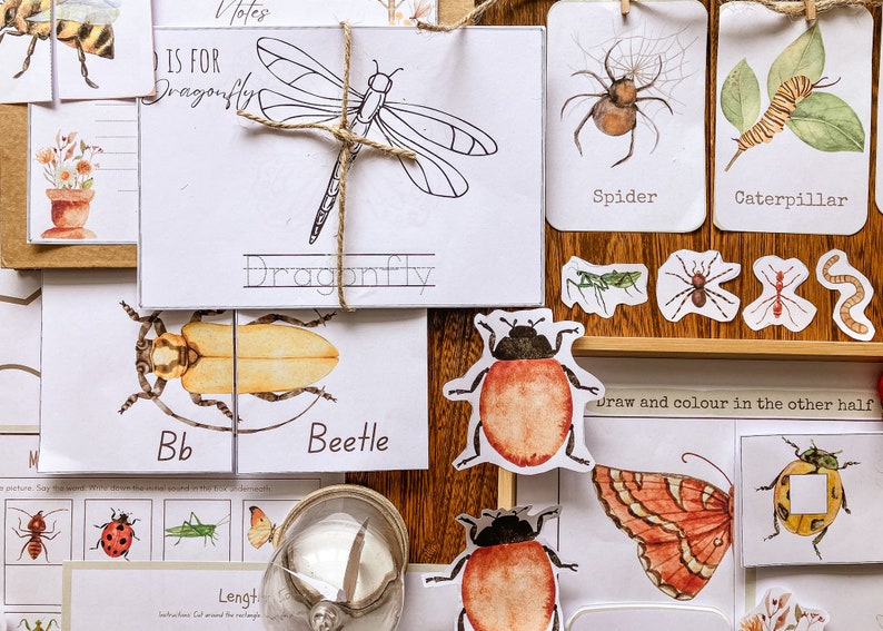 Insect Morning Basket Bundle, Morning Menu, Homeschool Morning Basket ...