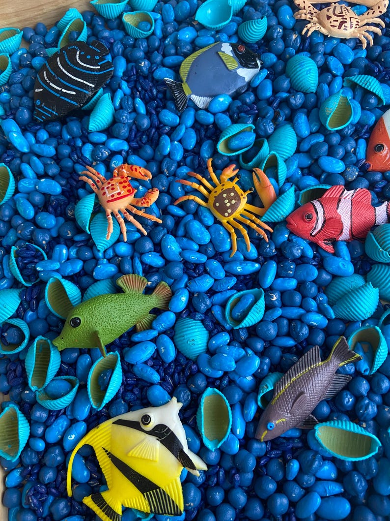 Ocean Creature Sensory Bin Kit Tropical Fish Sensory Bin Sensory Play ...