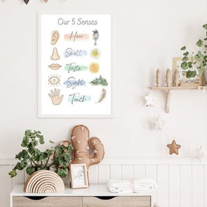 Five Senses Poster, Educational Classroom Decor, Watercolor Classroom ...