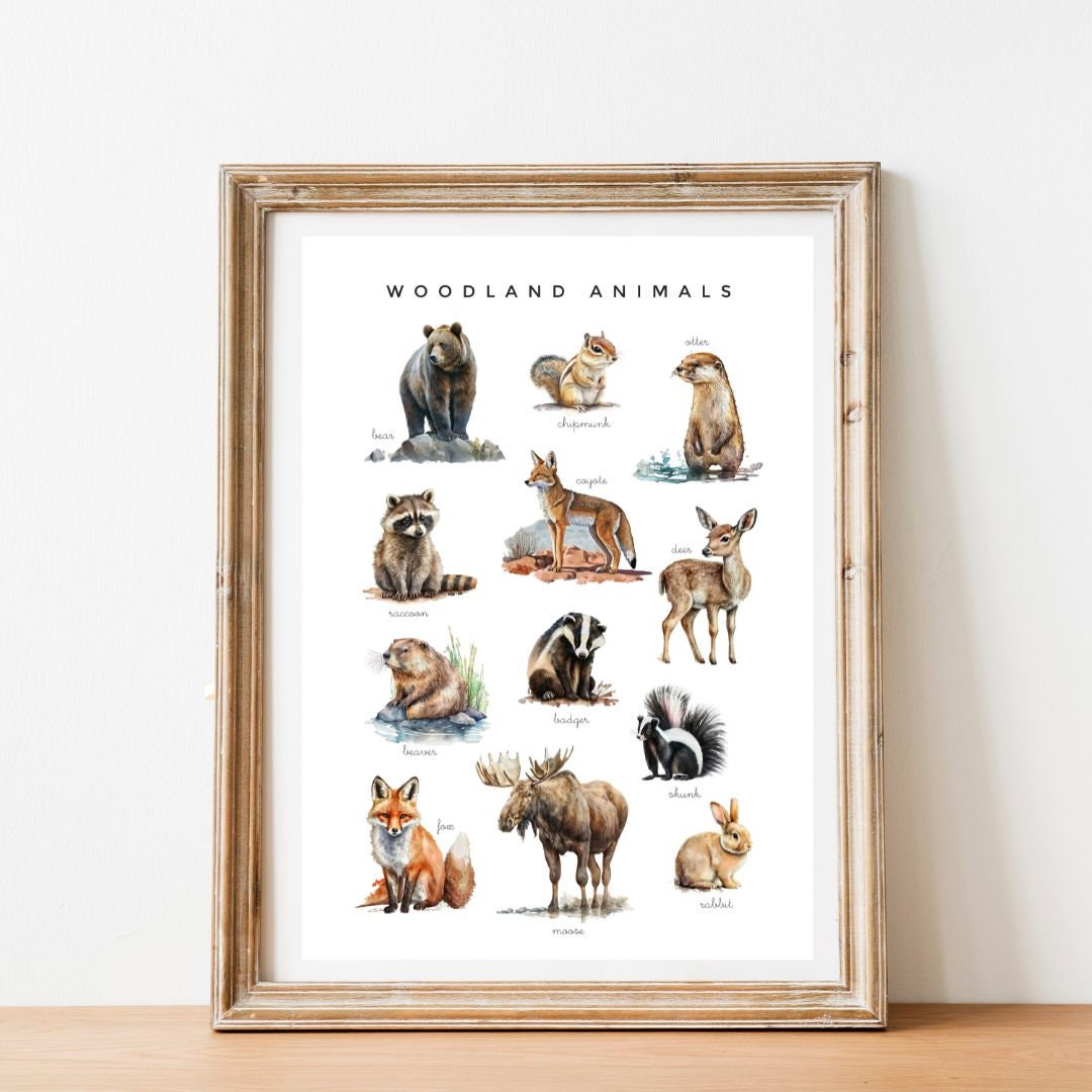 Printable Animal Educational Posters, Montessori Animal Posters ...