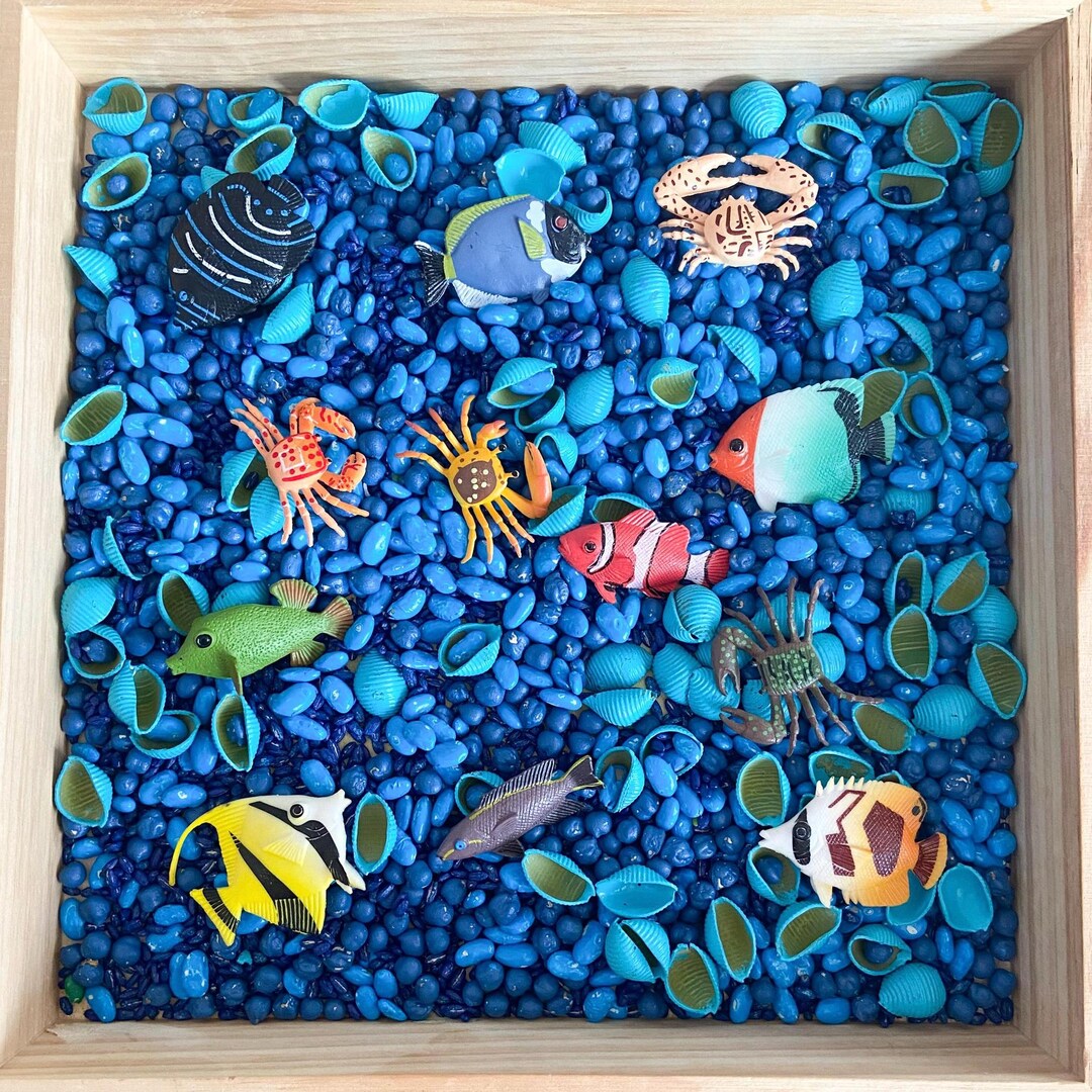 Ocean Creature Sensory Bin Kit Tropical Fish Sensory Bin Sensory Play ...