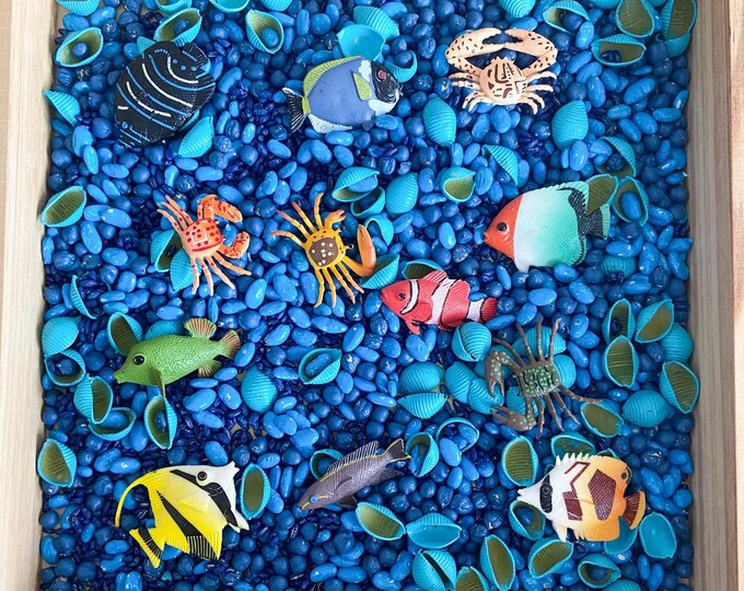Ocean Creature Sensory Bin Kit Tropical Fish Sensory Bin Sensory Play ...