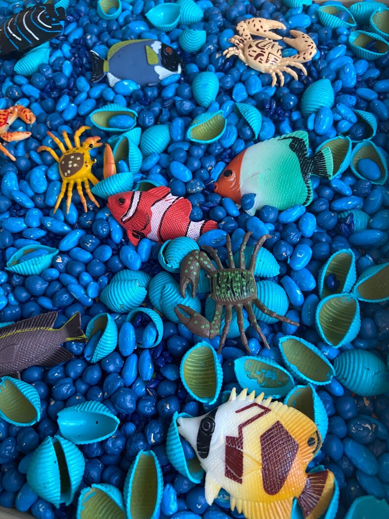 Ocean Creature Sensory Bin Kit Tropical Fish Sensory Bin Sensory Play ...