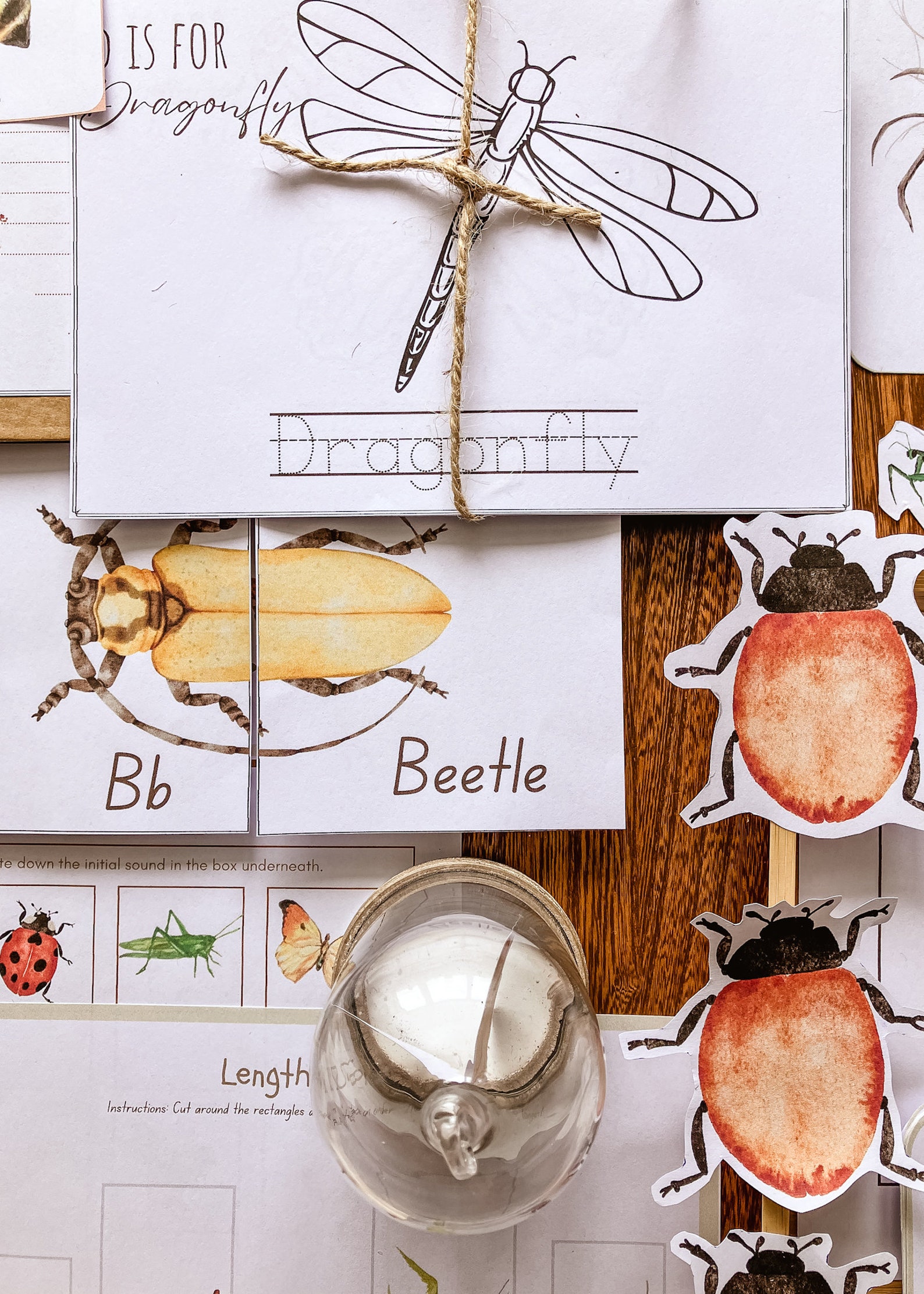 Insect Morning Basket Bundle, Morning Menu, Homeschool Morning Basket ...