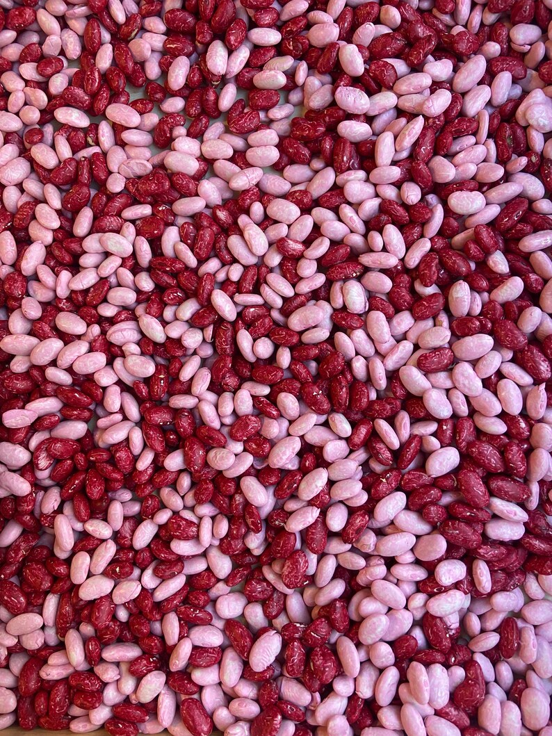 Valentines Day Sensory Bin Filler Red and Pink Sensory Bin Beans ...