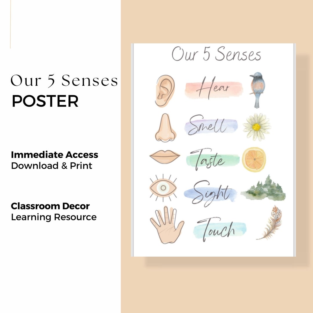 Five Senses Poster, Educational Classroom Decor, Watercolor Classroom ...