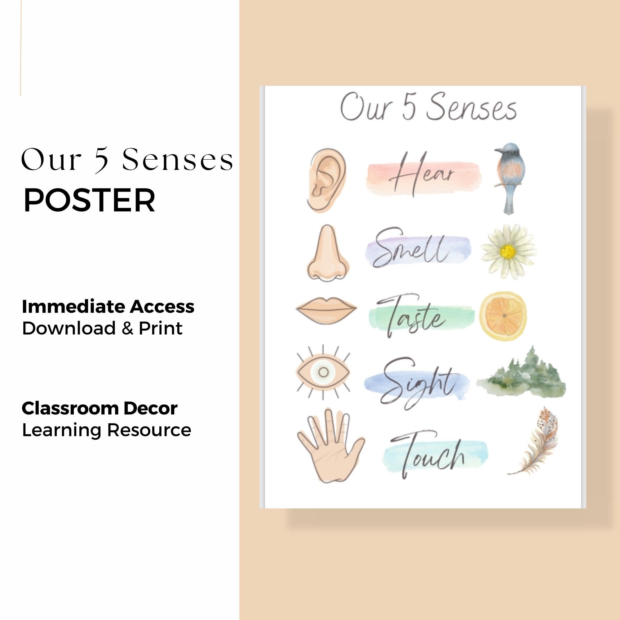 Five Senses Poster, Educational Classroom Decor, Watercolor Classroom ...