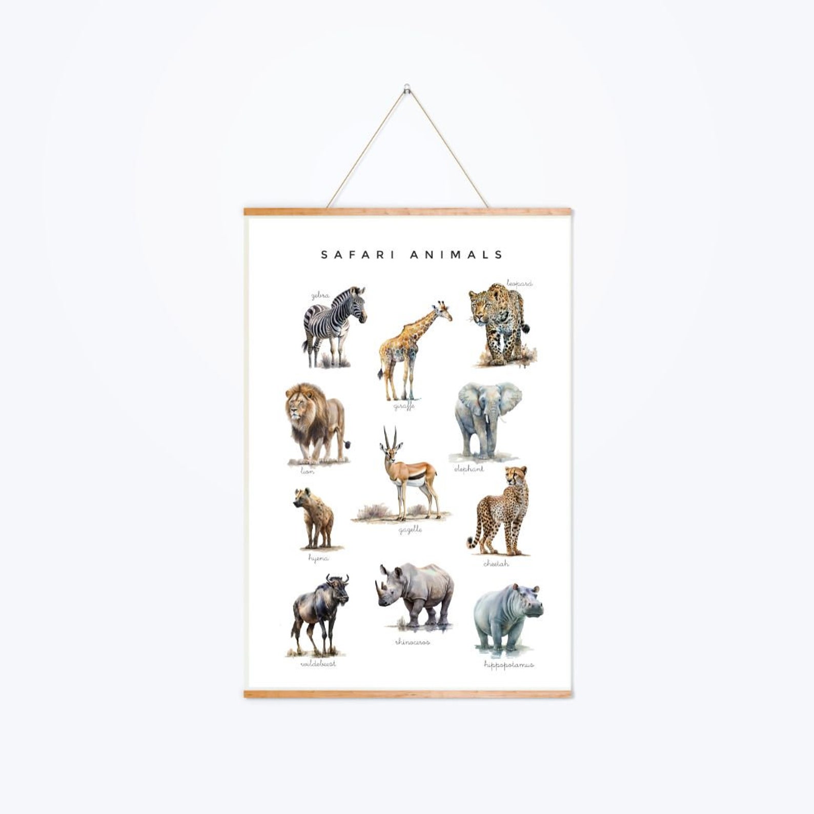 Printable Animal Educational Posters, Montessori Animal Posters ...