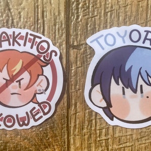Project Sekai Akito Shinonome and Toya Aoyagi Funny Vinyl Stickers - Etsy