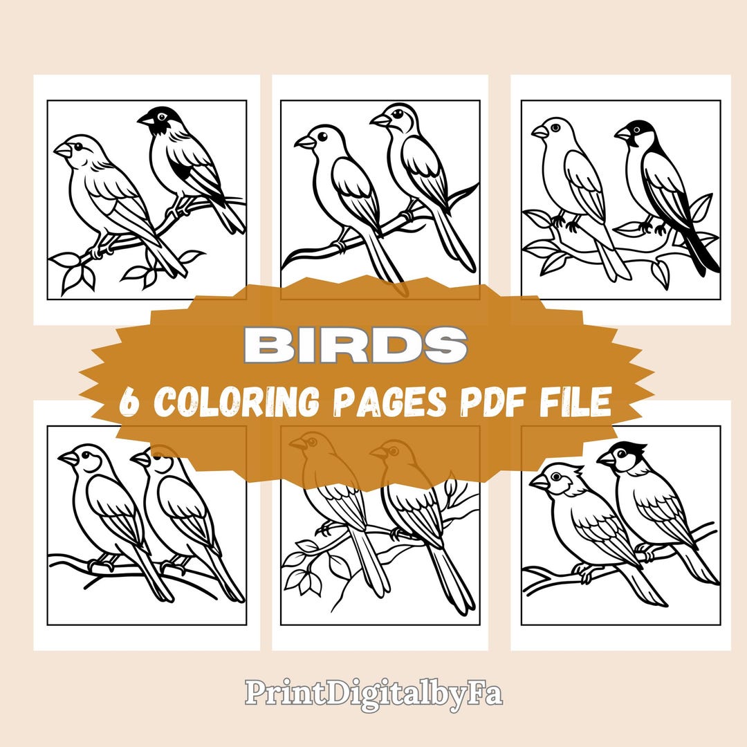 Whimsical Cute Two Birds Outline Drawing - PDF Digital Download ...