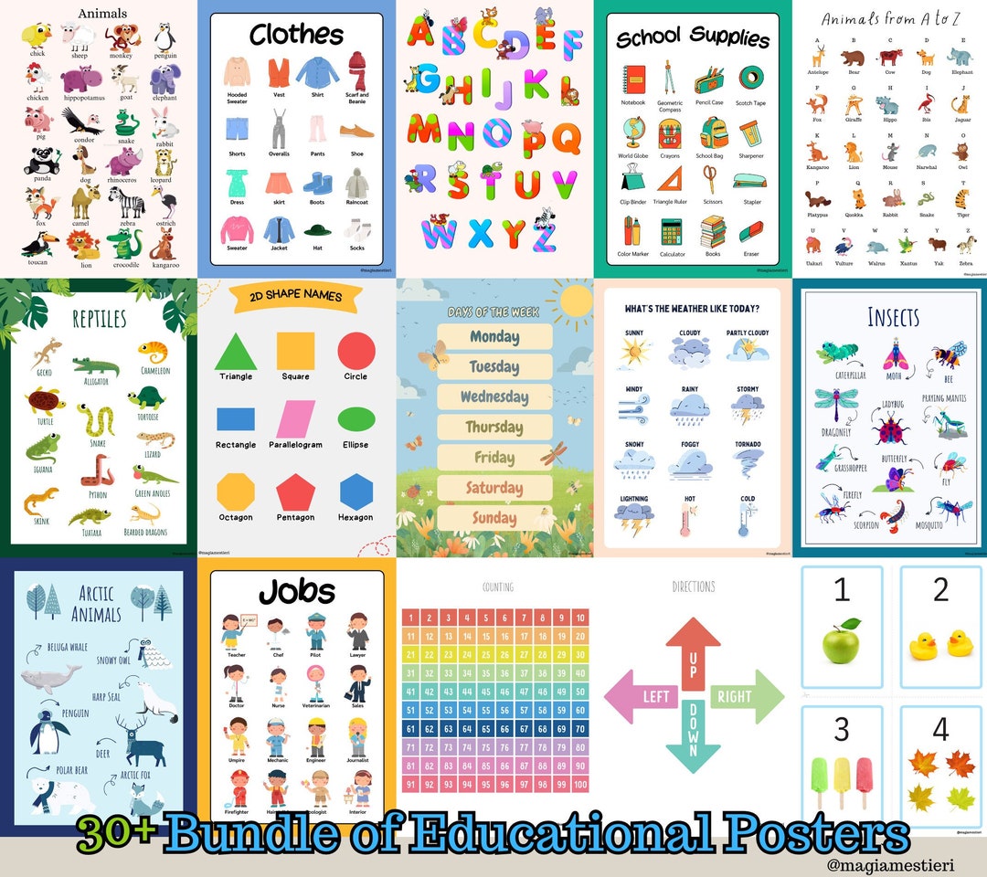 Educational Posters, Bundle of Homeschool Posters, 30 Printables ...