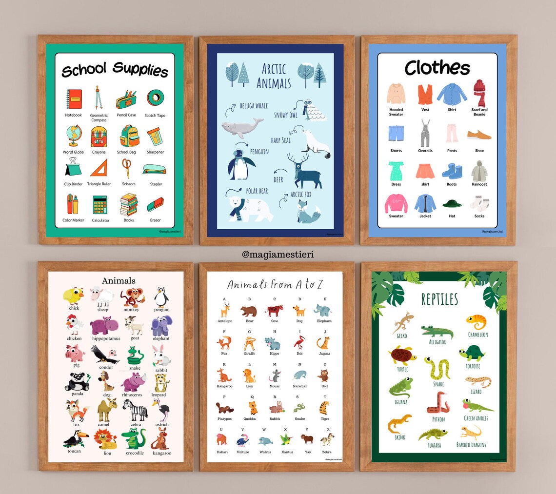 Educational Posters, Bundle of Homeschool Posters, 30 Printables ...