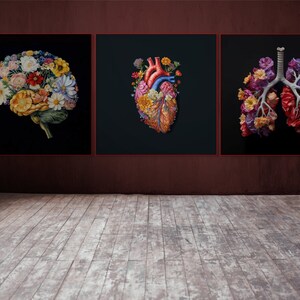 Human Heart Human Brain Human Lungs Print Anatomical Printable Anatomic ...