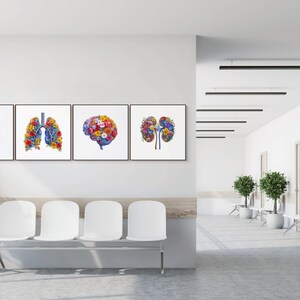 Human Heart Human Brain Human Lungs Human Kidneys Print Anatomical ...