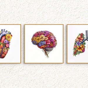 Human Heart Brain Lungs Print Anatomical Printable Anatomic Wall Art ...
