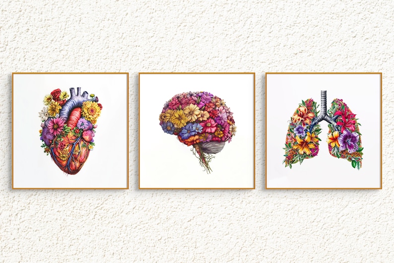 Human Heart Brain Lungs Print Anatomical Printable Anatomic Wall Art ...