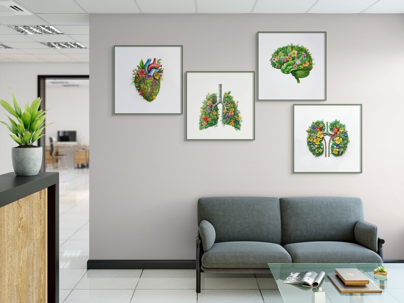 Human Heart Human Brain Human Lungs Human Kidneys Print Anatomical ...