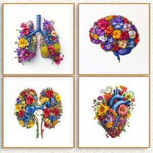 Human Heart Brain Lungs Human Kidneys Print Anatomical Printable ...