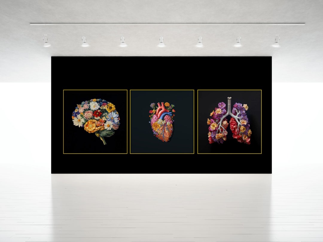 Human Heart Human Brain Human Lungs Print Anatomical Printable Anatomic ...