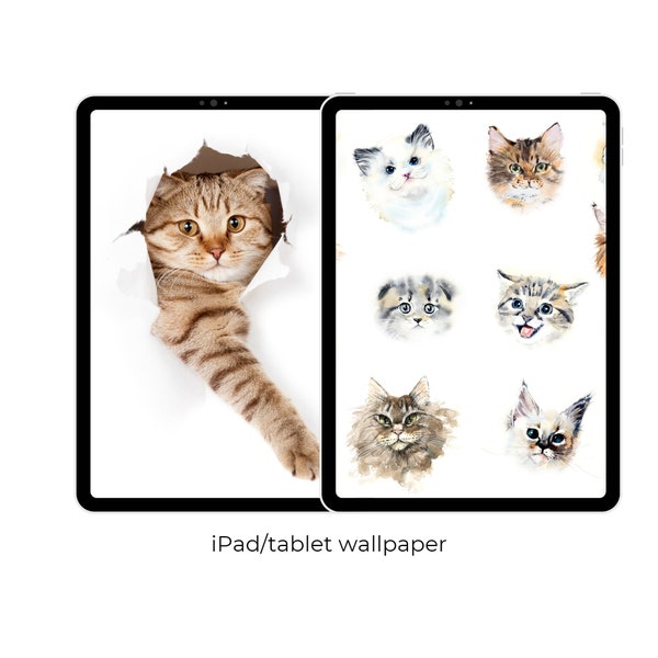 iPad Cat Wallpaper - Etsy