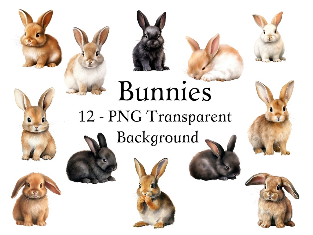 Bunnies Watercolor Clip Art 12 PNG Transparent Background - Etsy