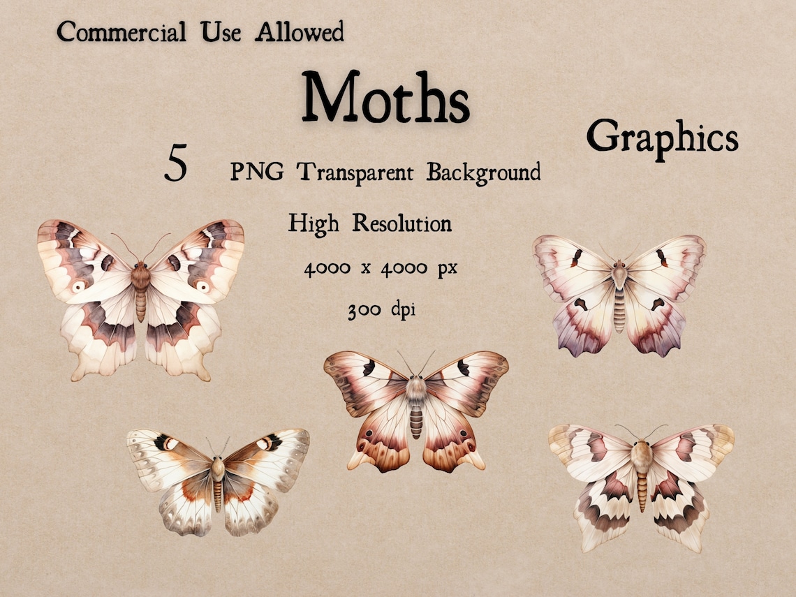 Moth Clip Art 5 PNG Transparent Background High Resolution Watercolor ...