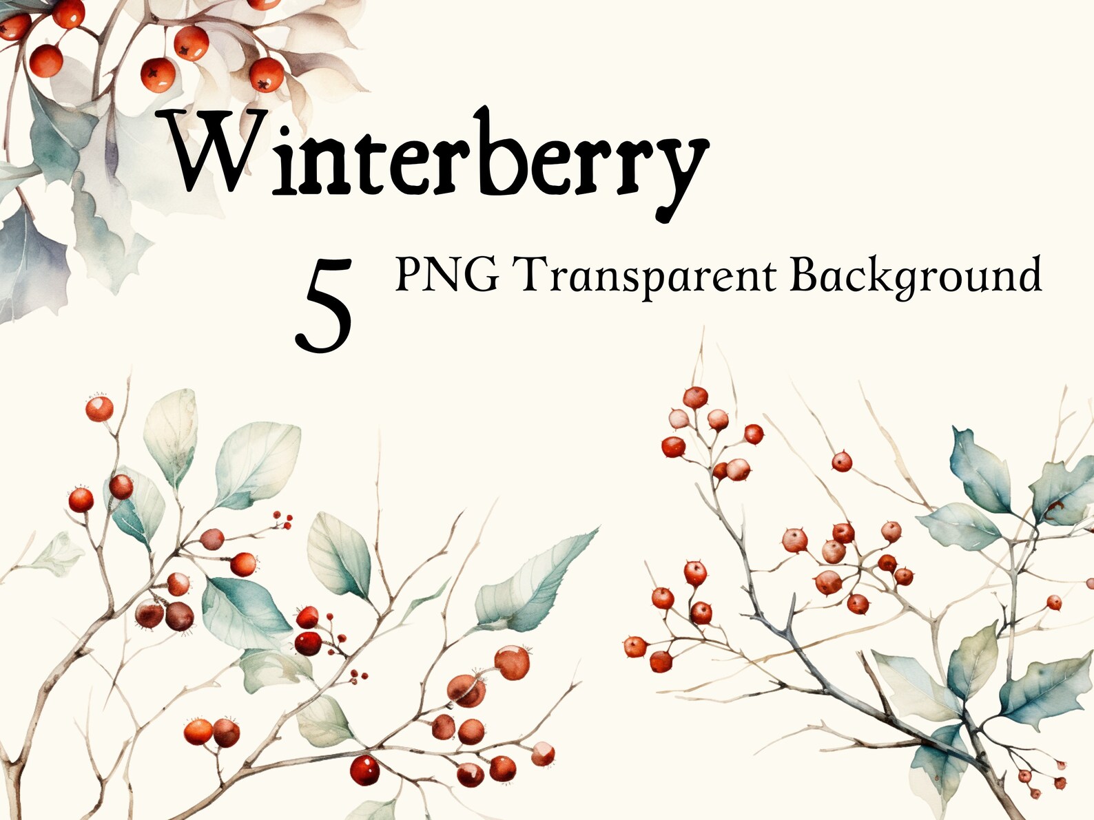 Holly Winter Berries Clip Art Set of 5 Images PNG Transparent ...