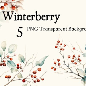 Holly Winter Berries Clip Art Set of 5 Images PNG Transparent ...