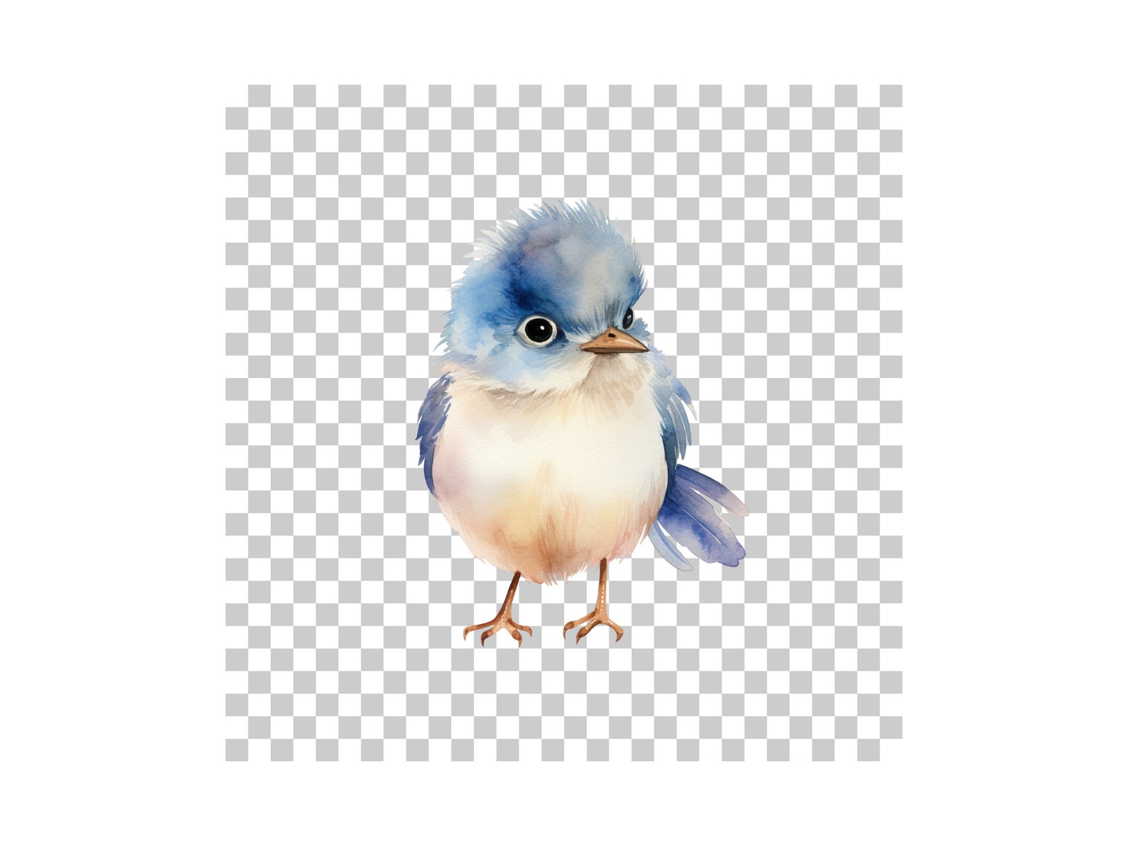 Song Bird Watercolor Clip Art 5 PNG Transparent Background Printable ...