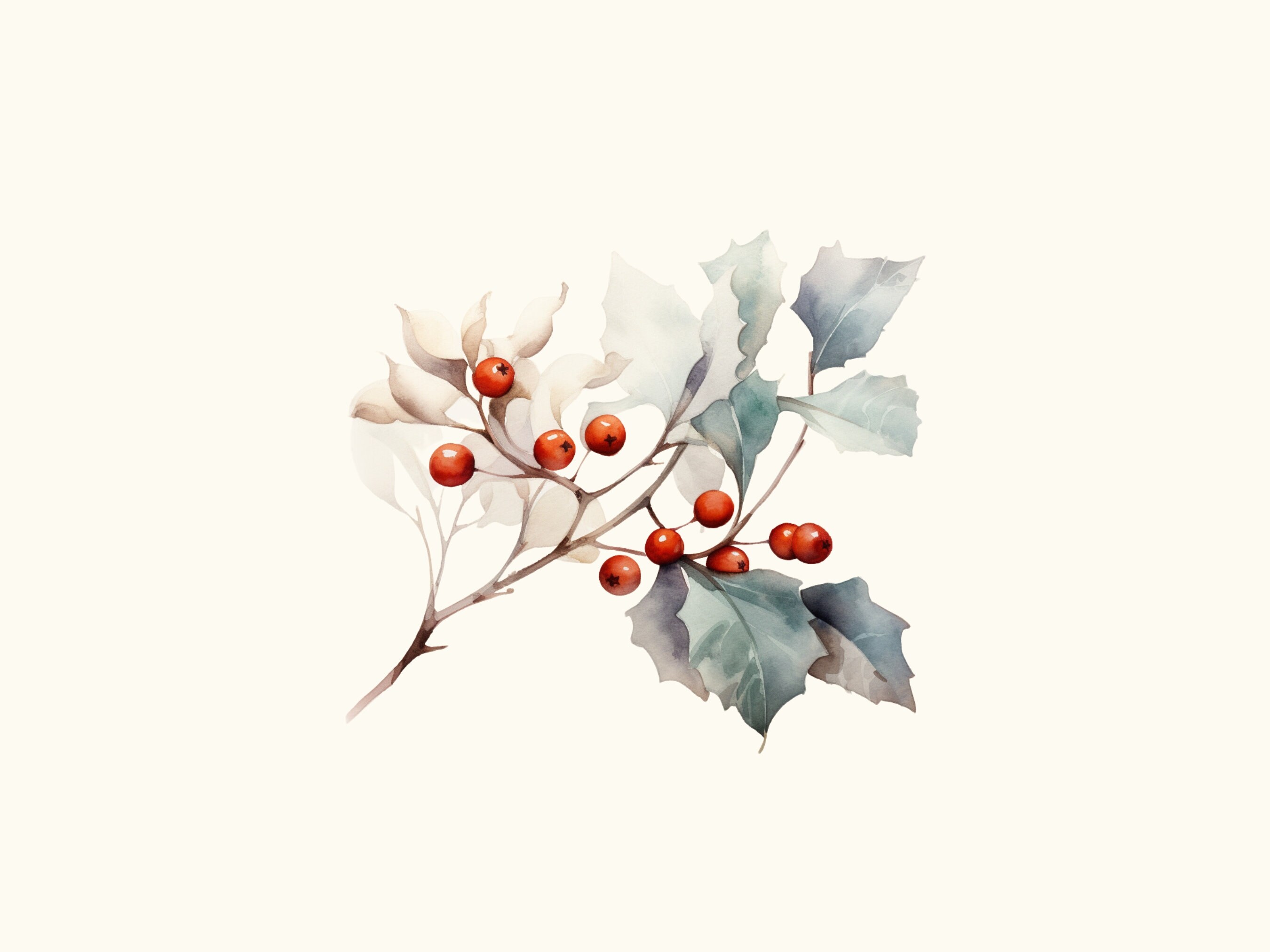 Holly Winter Berries Clip Art Set of 5 Images PNG Transparent ...